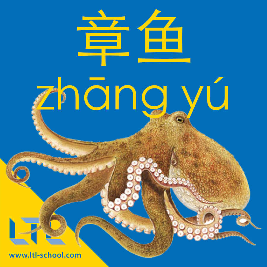 Fish in Chinese ? 30+ Types of Fish in Chinese & Marine Life | LTL ...