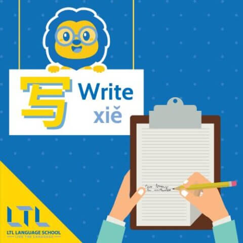 139 Verbs in Chinese || A Complete Guide & FREE Quiz