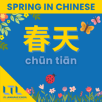 Learn Days and Months in Chinese: A Simple Guide & Free Quiz