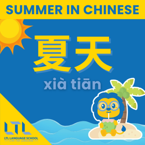 Learn Days and Months in Chinese: A Simple Guide & Free Quiz