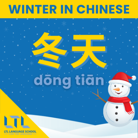 Learn Days and Months in Chinese: A Simple Guide & Free Quiz